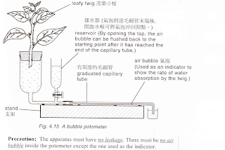 筆記: CE Biology:potometer and weight potometer