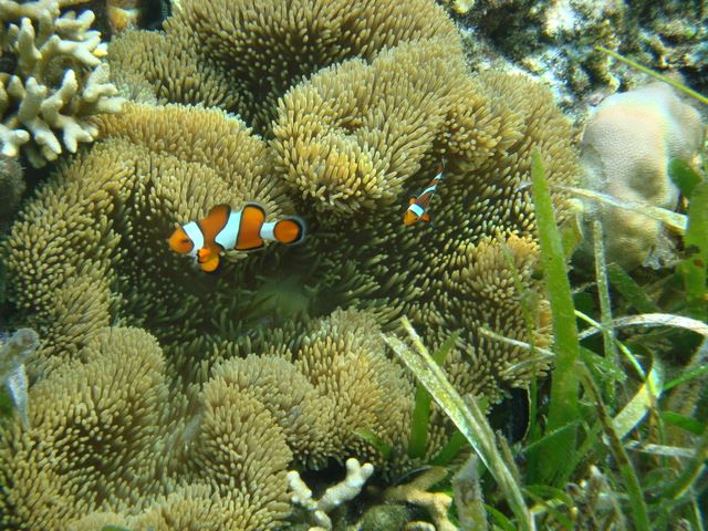 BEACHES AND CHURCHES: DIGYO ISLAND, ONE MORE TIME
