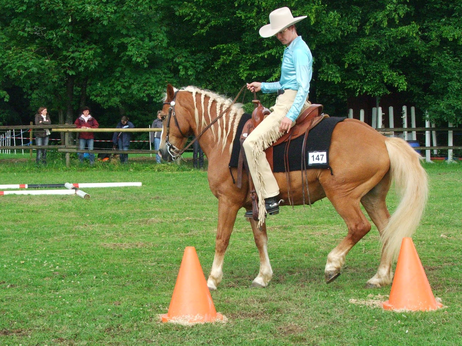 Wannweil: Westernreiten in Pliezhausen
