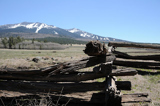 Arizona Hiking: HART PRAIRIE PRESERVE