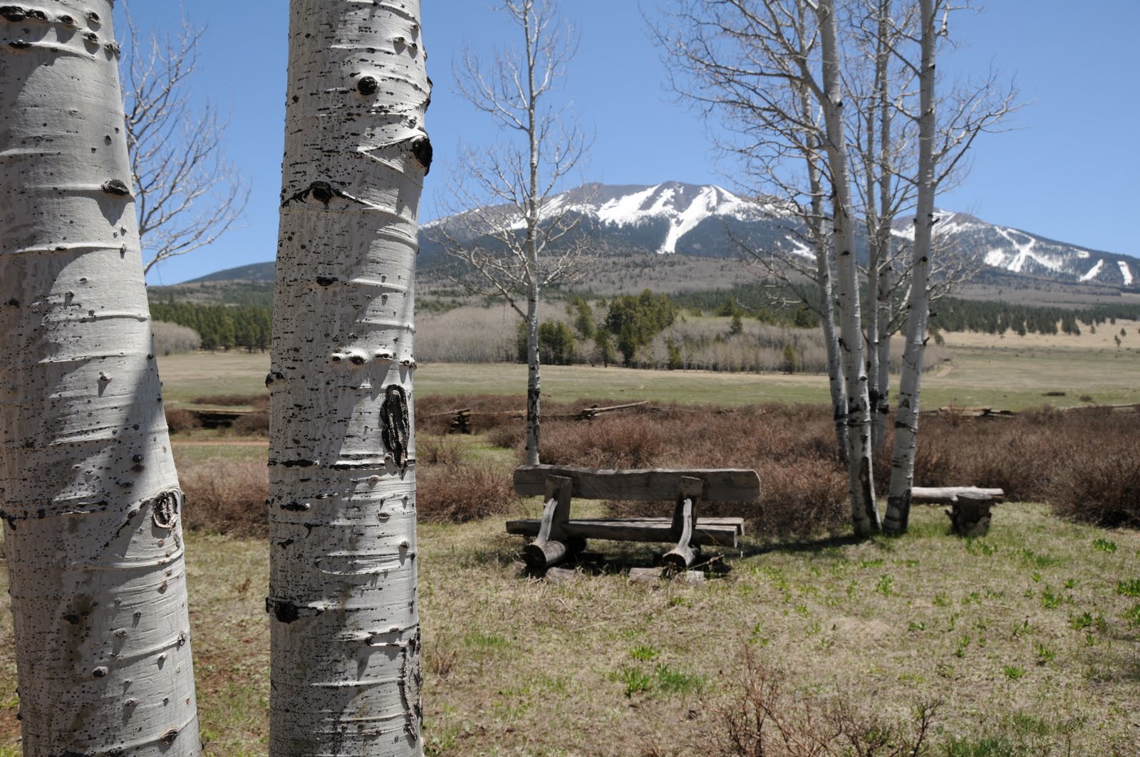 Arizona Hiking: HART PRAIRIE PRESERVE