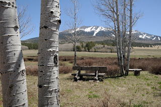 Arizona Hiking: HART PRAIRIE PRESERVE