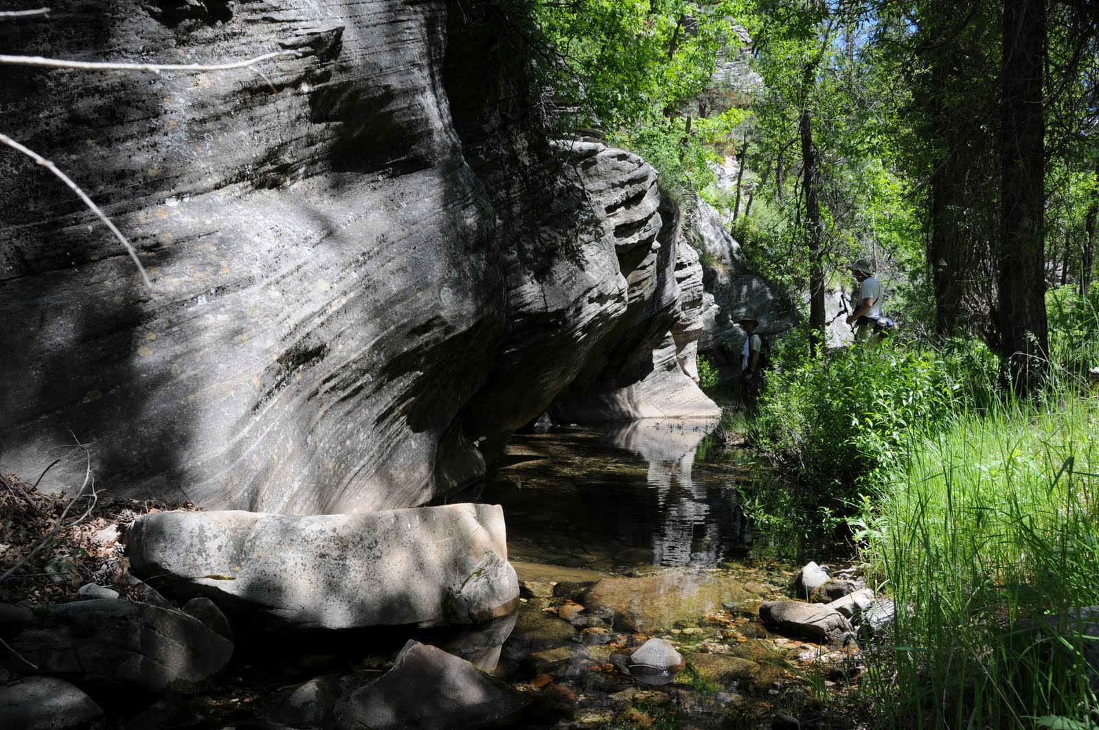 Arizona Hiking: CLOVER CREEK