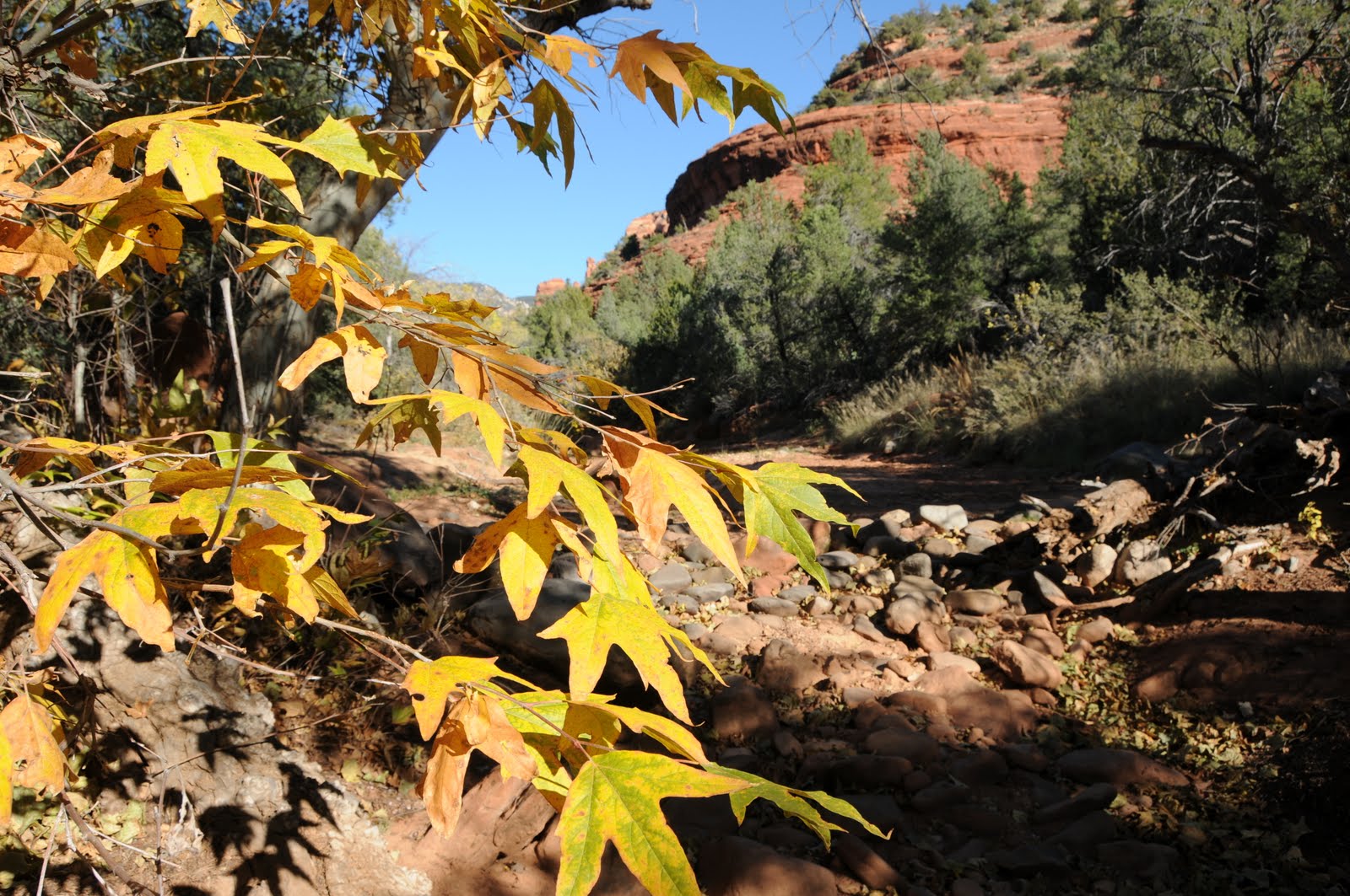 Arizona Hiking: SECRET CANYON TRAIL