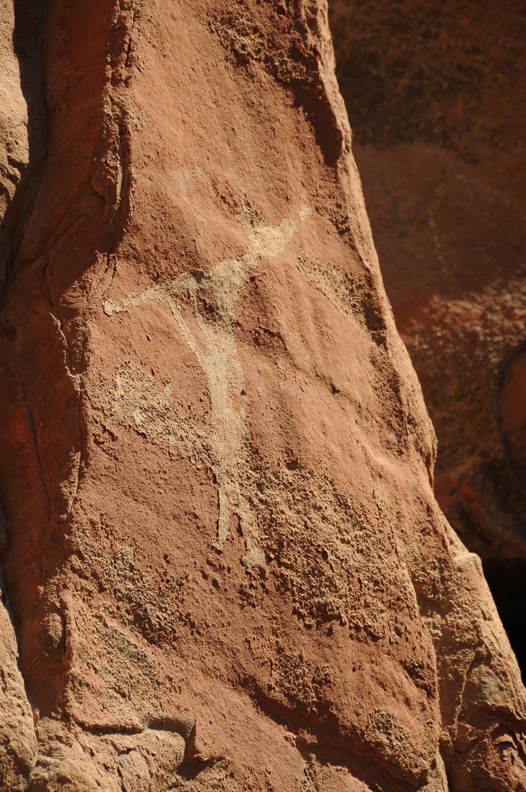 Arizona Hiking: HONANKI HERITAGE SITE