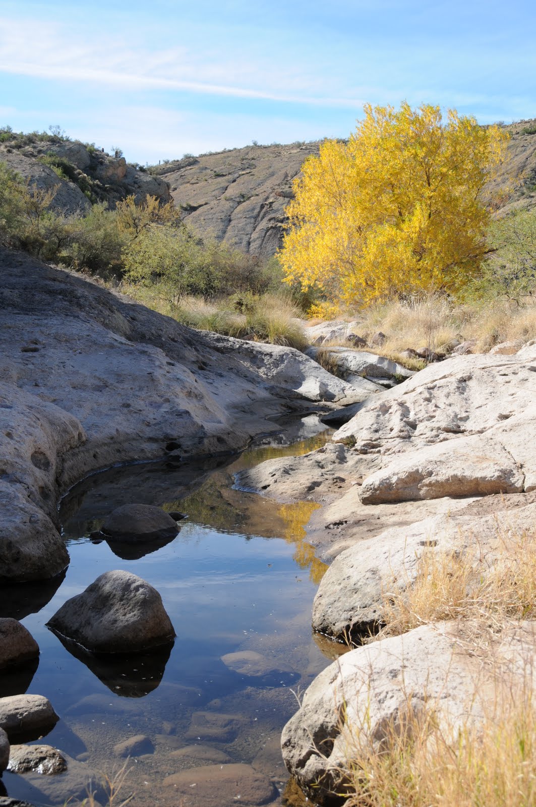 Arizona Hiking: HACKBERRY SPRING FALL COLOR,2010