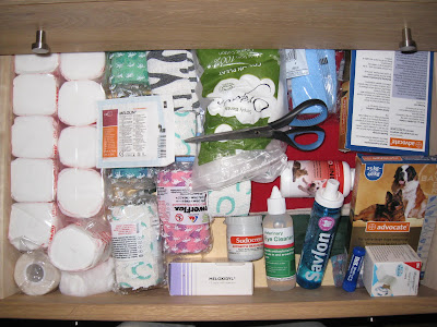 What Dogs Do: Greyhound First Aid Kit