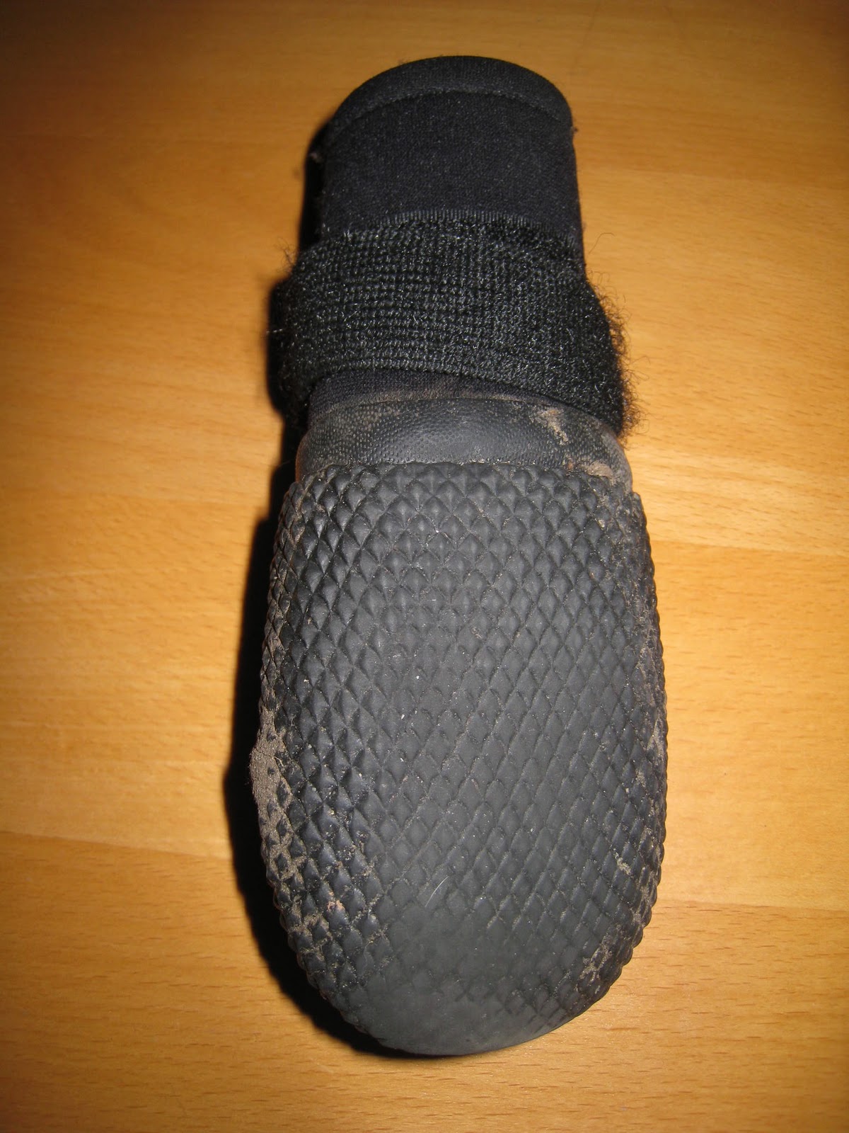 What Dogs Do: Greyhound First Aid Kit