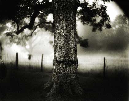 IMAGES&VISIONS -16 ANOS: Sally Mann expõe na The Photographers' Gallery ...