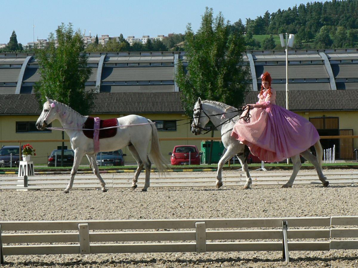 Riding Aside: Tandem...