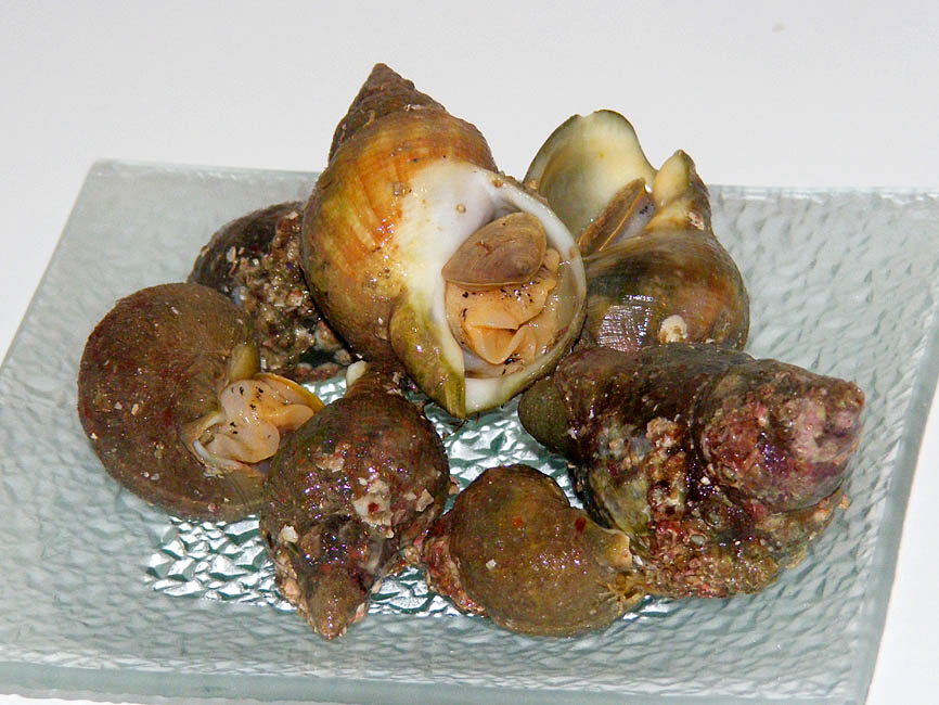 Days on the Claise: March 2010