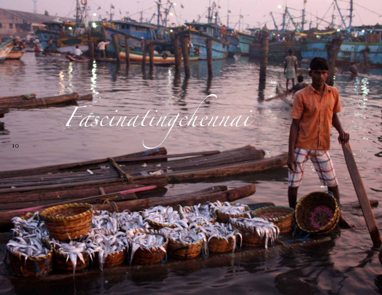 Fascinating Chennai: Royapuram Fishing Harbour