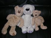 Annette Jansen's Art Projects