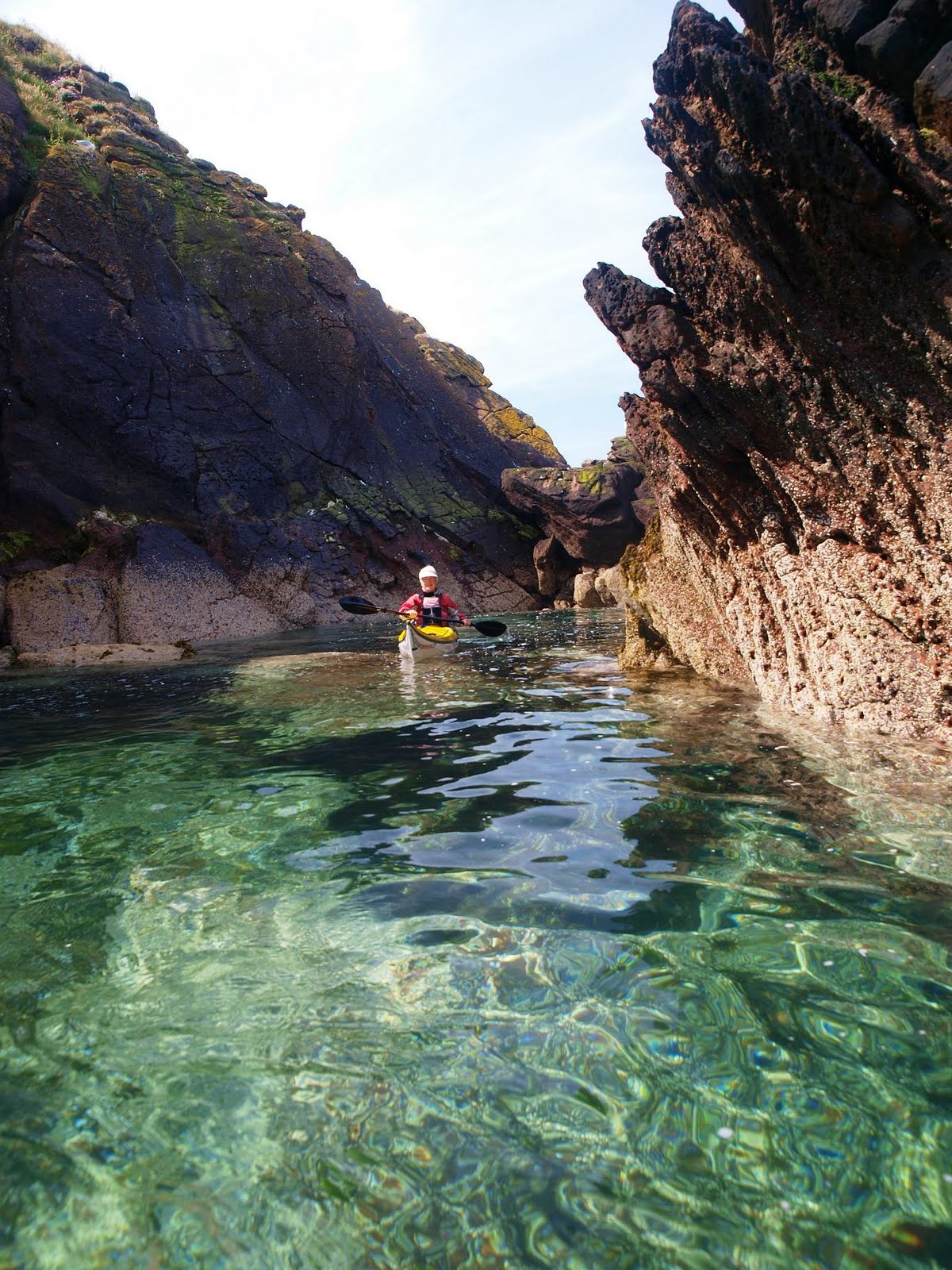 Adventurous Experiences Blog: Kayaking with 2 Basking Sharks this ...