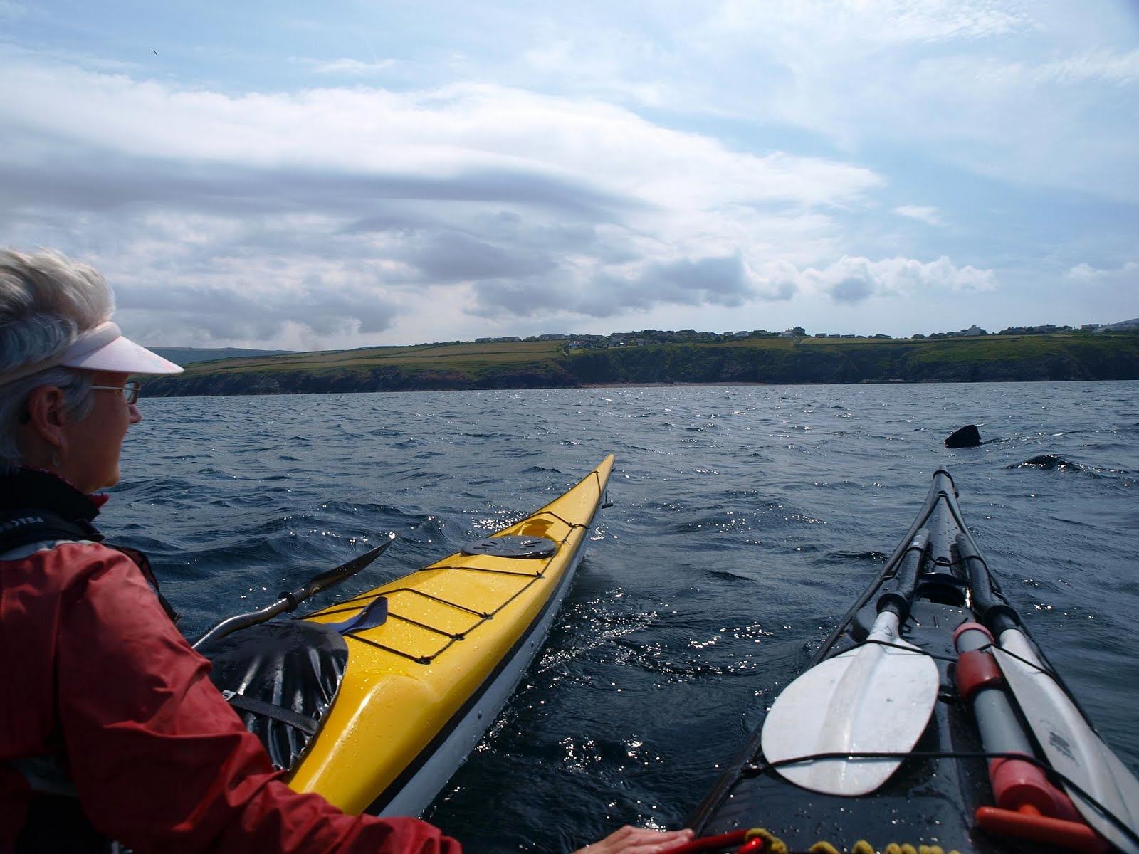 Adventurous Experiences Blog: Kayaking with 2 Basking Sharks this ...
