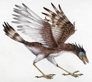 Динозаври - видове, къде са живеели, вкаменелости, снимки, имена ...