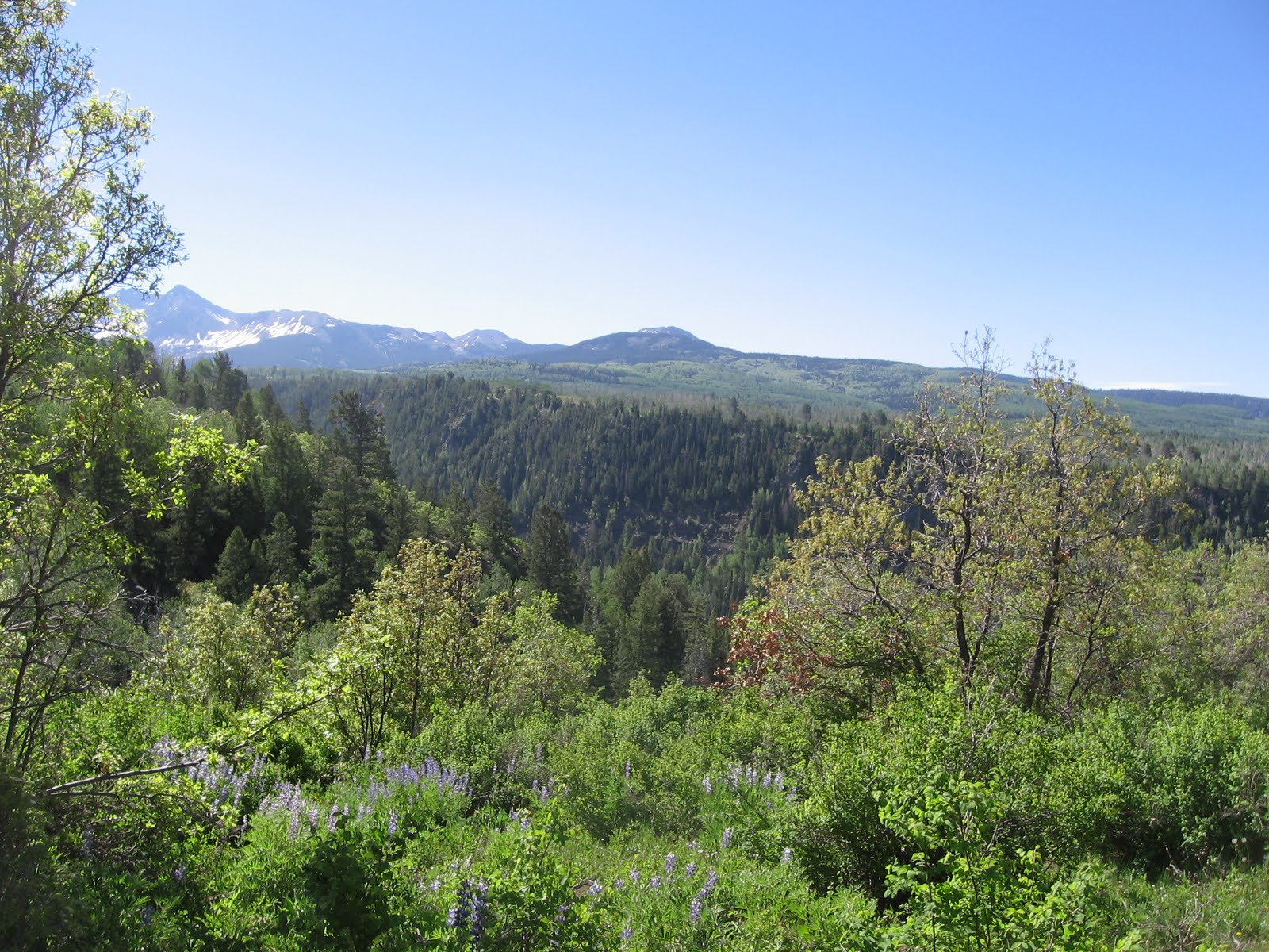 Four Corners Hikes-Dolores River Valley Colorado: Aspen Loop Trail