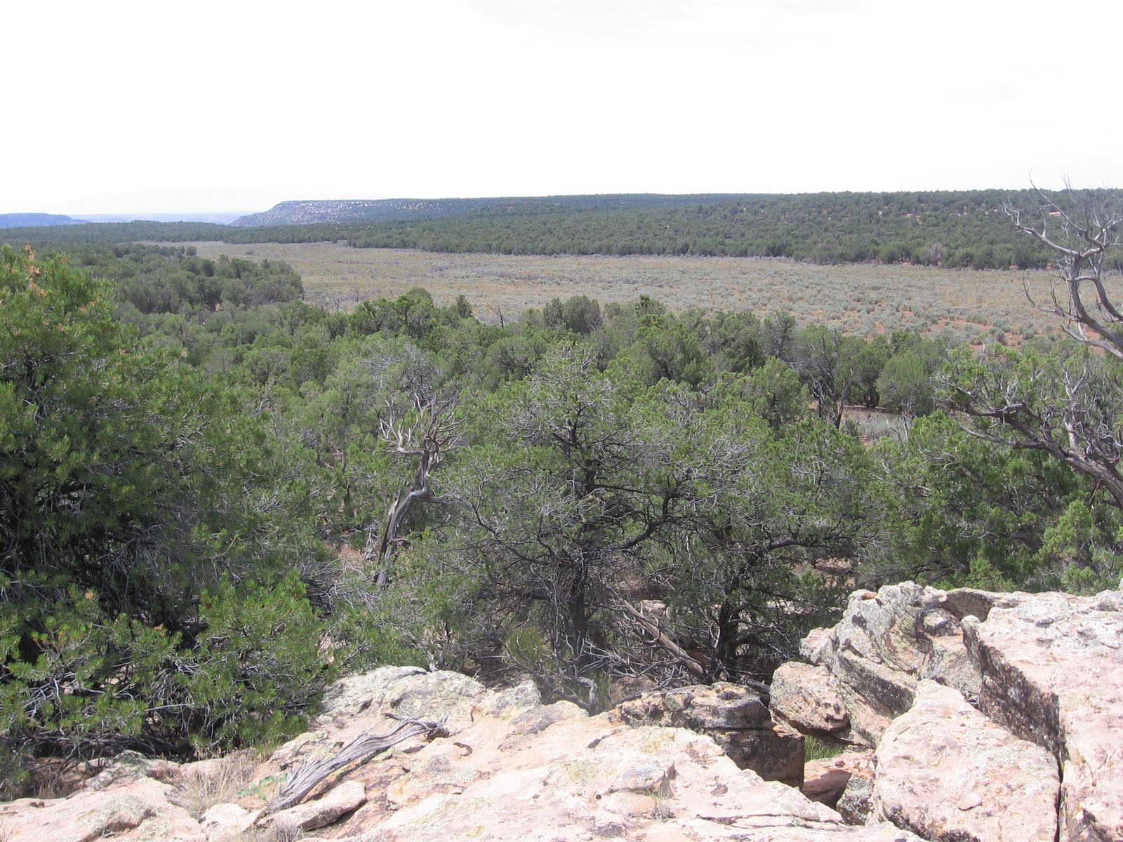 Four Corners Hikes-Canyons of the Ancients: Mockingbird Mesa East ...