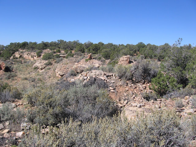 Four Corners Hikes-Canyons of the Ancients: Negro Canyon to SW ...