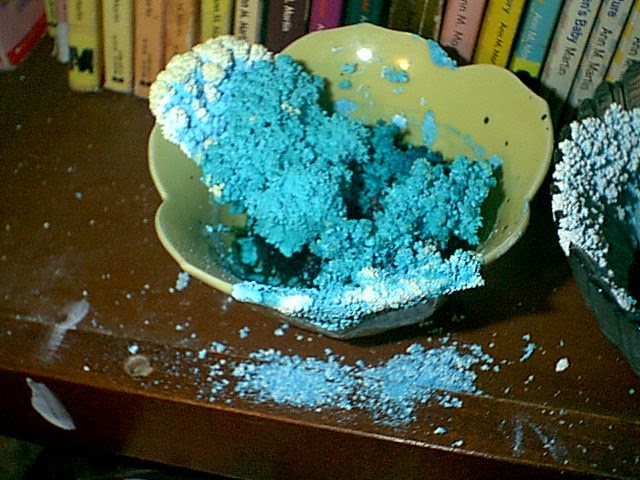 Minute Musings: Coal Flowers