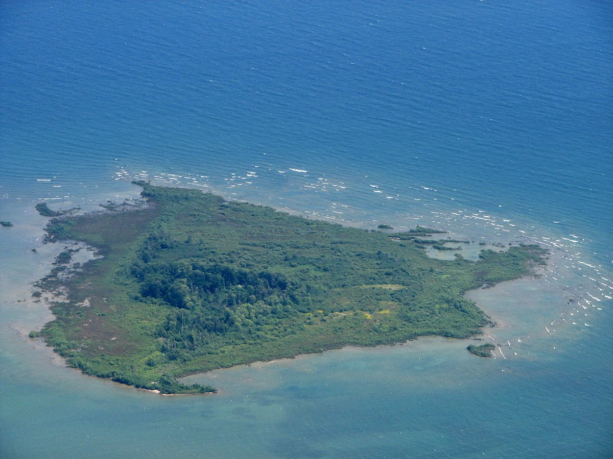 A mile of runway will take you anywhere.: 2010 Summer Adventure - Day 3