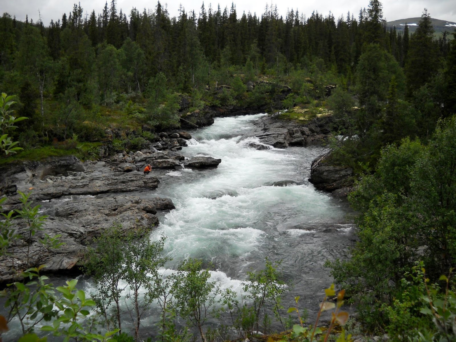 The Journey To Fjällen, The Wilderness of Sweden |Blissful Solitary ...