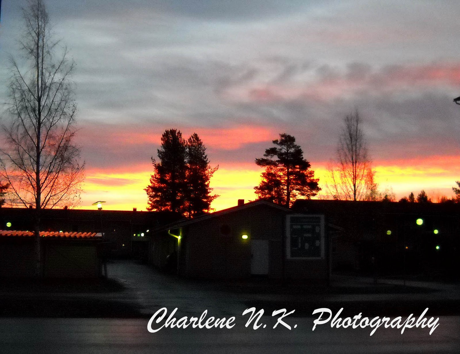 My Nature Photography: Morning, Noon and Evening