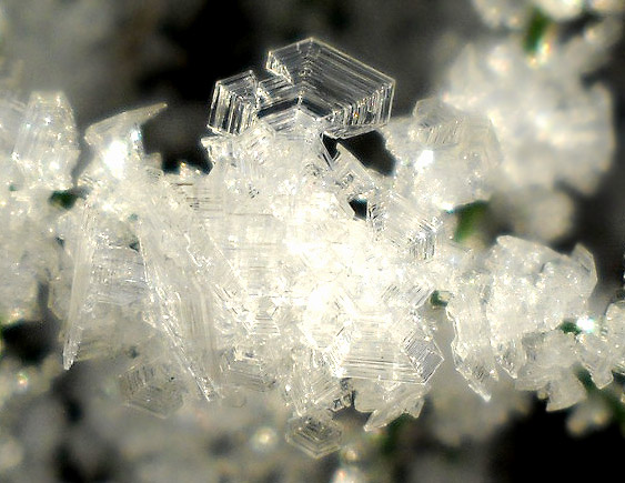 My Nature Photography: Ice Crystals in Macro