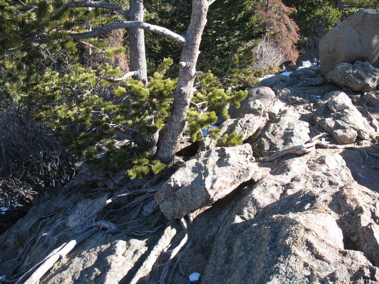 Rocky Mountain National Park: Interactions With the Biosphere