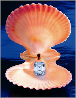 Luxury Jewelry Pictures with Seashells and Coral / The Beading Gem