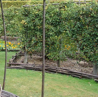 Les Jardins du Laveu: Le technique du plessis