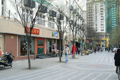 Slums of Shaolin: North Wulumuqi Lu