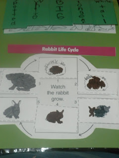the Story of My World: Rabbit Lapbook