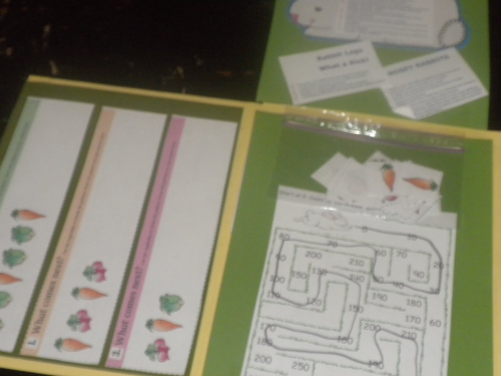 the Story of My World: Rabbit Lapbook