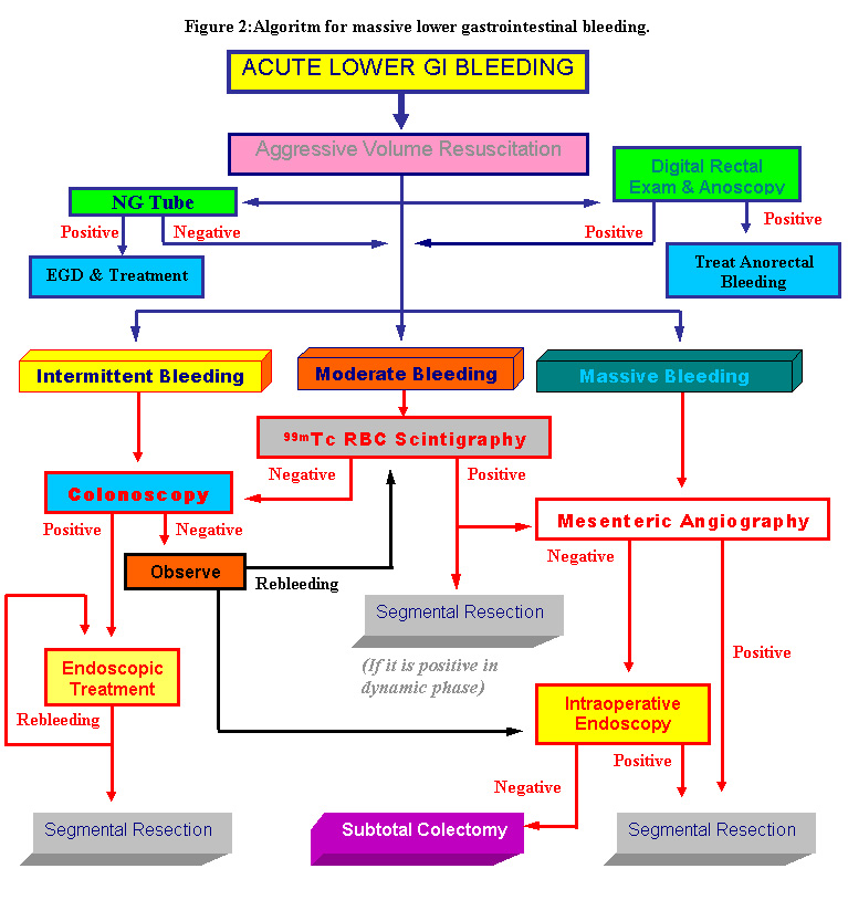 Dr.Wesal: Lower GI bleeding workup
