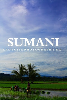 SUMANI RICEFIELD - LAST PART - Get Up, Survive, Go Back To The Bed