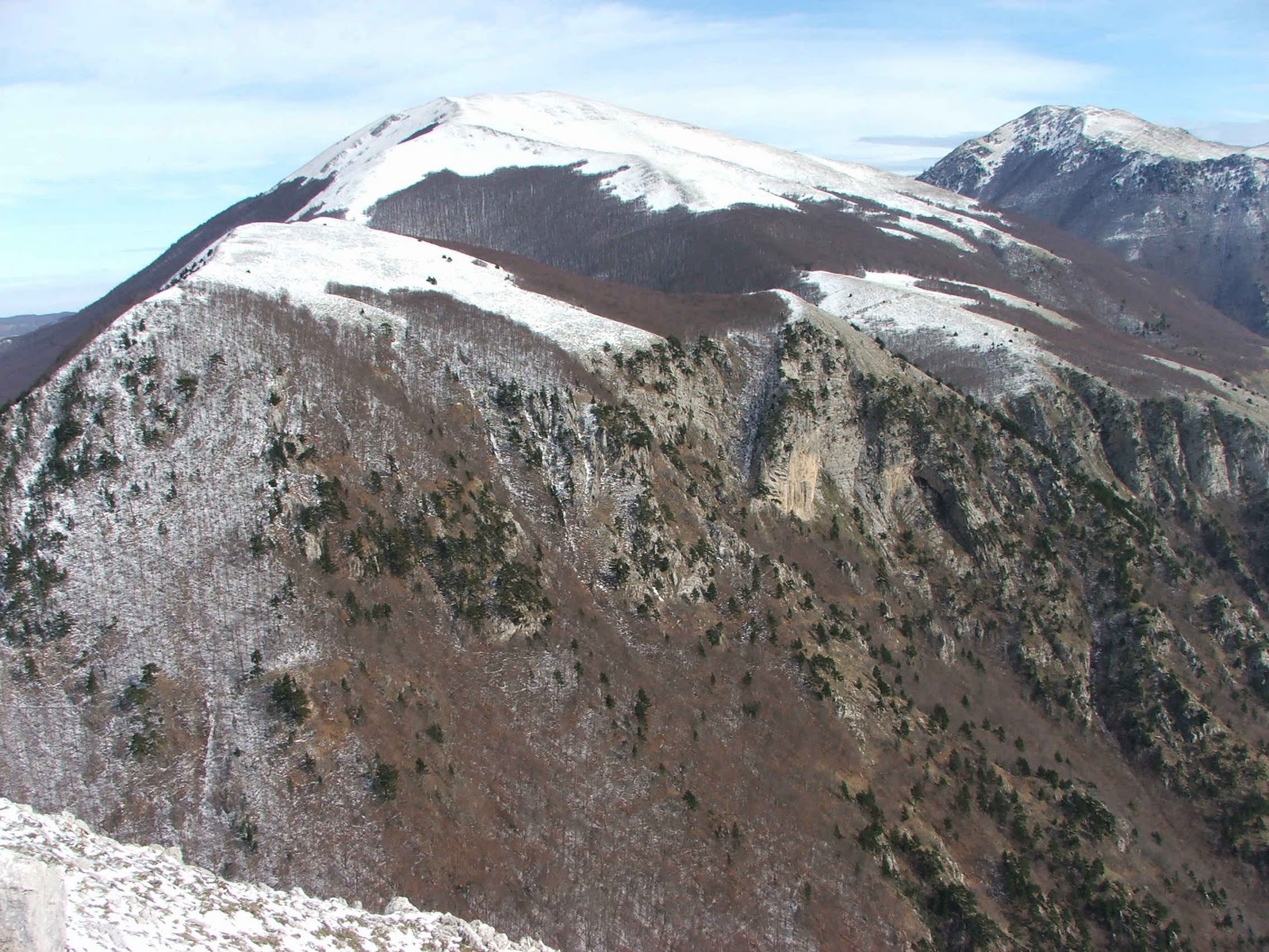 POLLINOFANTASTICO: Assaggio d'inverno su Timpone Viggianello