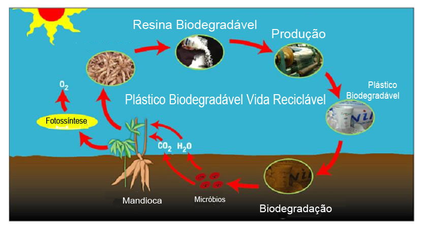 BioPlastico: O que é plástico Biodegradável?