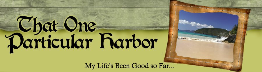 That One Particular Harbor: The Water, The Carpet & The Plumber's Butt