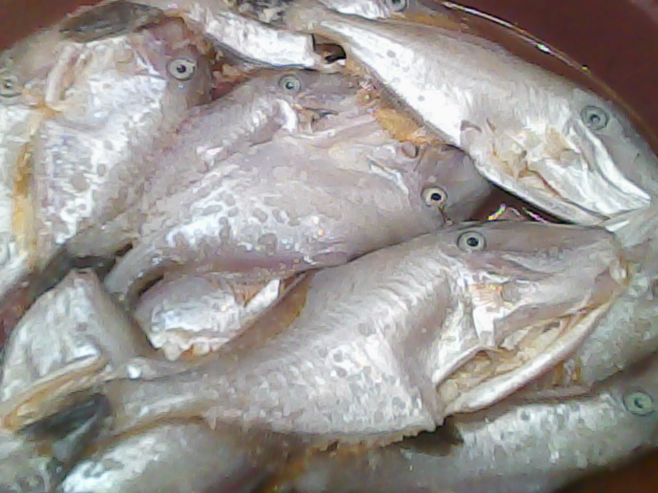 The Quack Chef: Burlesk Fish