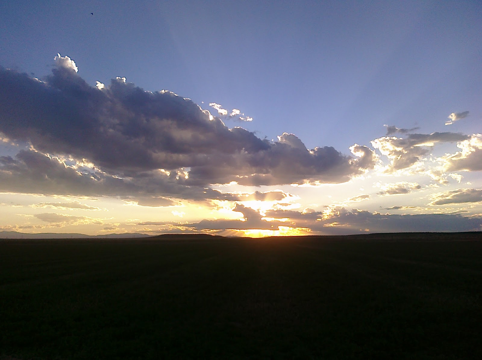 Twister Alley Ranch: Photos of the Ranch!