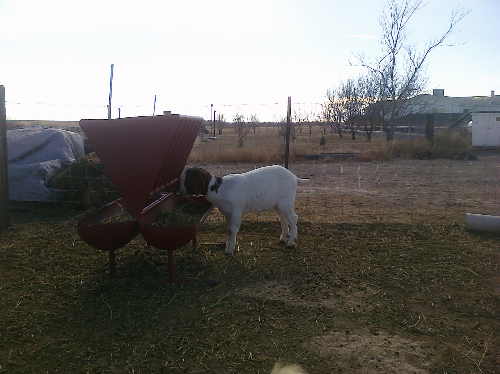 Twister Alley Ranch: Photos of the Ranch!