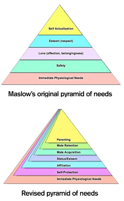 CPsyne: Pirámide de Maslow revisada