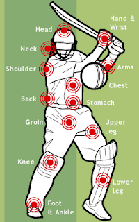 idea mani: Cricket Injuries