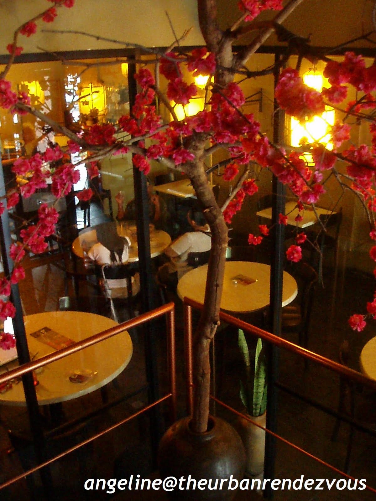 A Rendezvous With The World: Thai Cuisine @ Blue Dragon Restaurant