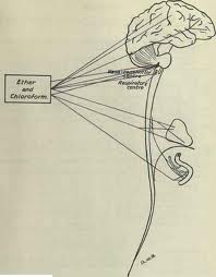 Health World: All about : Chloroform for sleep