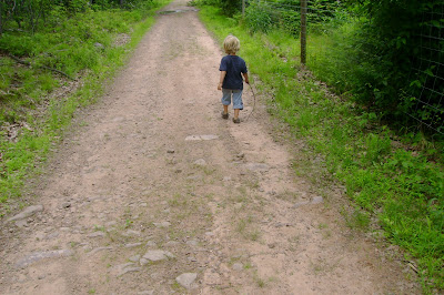 so wabi sabi: nature walk...jack's mountain