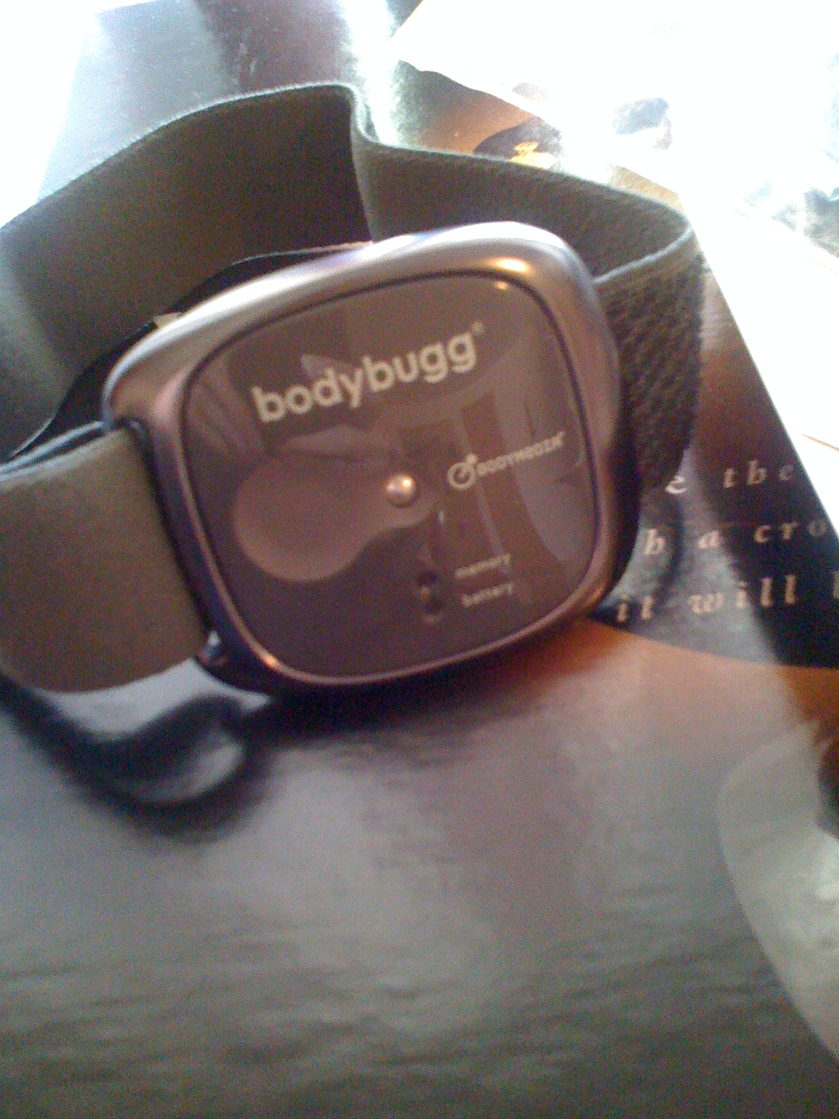 Ex Hot Girl: Bodybugg! Bodybugg! Oh, holycrap.