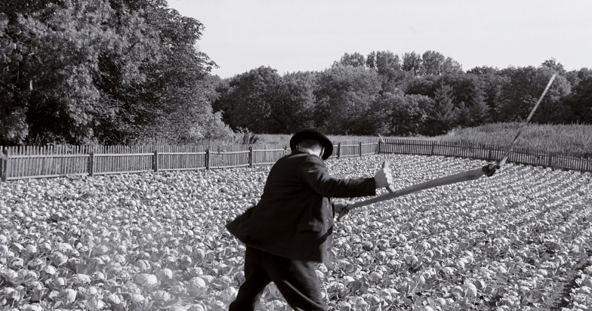 Phil on Film: Review - The White Ribbon (Das weiße Band, Eine deutsche ...