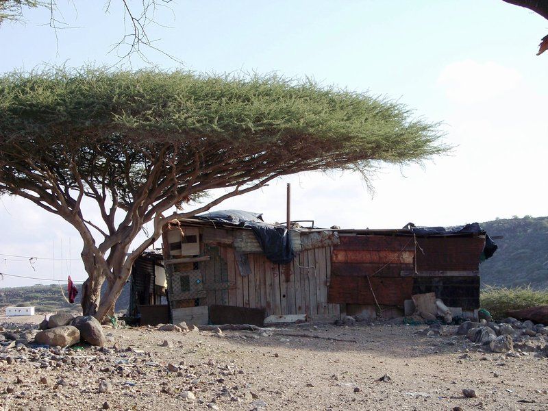 DaveGoesToAfrica: Balbala